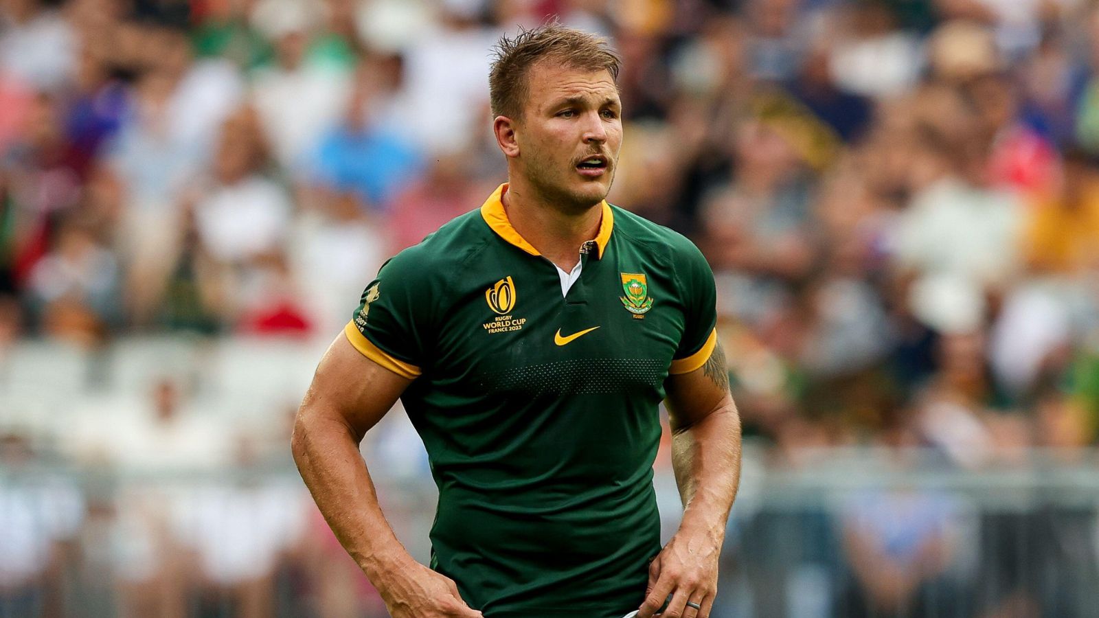 Five players join Springbok squad in Bloemfontein - Octafield