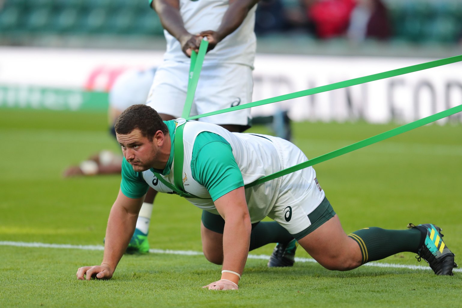 Rassie Erasmus Reflects on Pressure, New Additions, and Springbok Depth ...